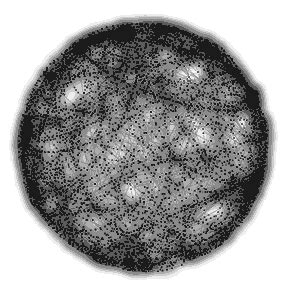 Index Drarunmitra Github Io