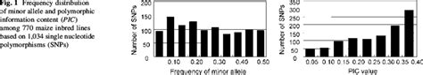 Frequency Distribution Of Minor Allele And Polymorphic Information
