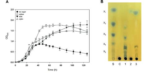 Synergistic Activity Of Xylanase And β Xylosidase In S Acidocaldarius