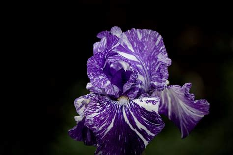 Analytic Hierarchy Process Ahp🏅 Menggunakan Python