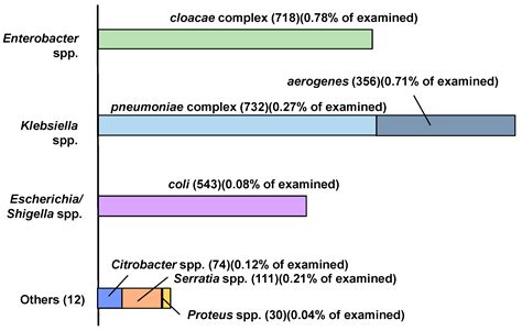 Monitoring Carbapenem Resistant Enterobacterales In The Environment To