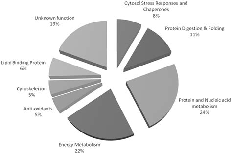 Schematic Representation Of Functional Distribution Of 62 Identified
