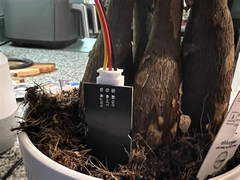 Plant Watering Kit Negative Moisture Readings Nano RP Connect Arduino Forum