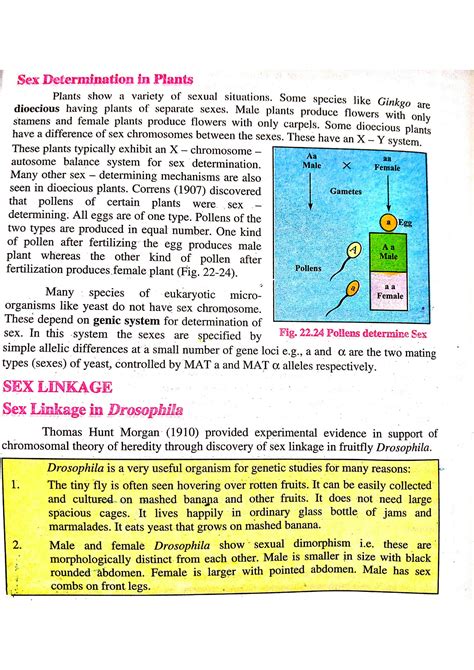 Solution Sex Determination In Plants Studypool