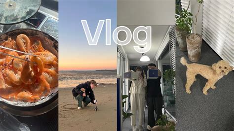 Vlog 대부도 당일치기 애견동반 여행 브이로그 결혼기념일 4주년 결기 당일날 서프라이즈 🎂🎂 ️ Youtube
