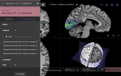 Multimodal Data Features Siibra Explorer User Documentation