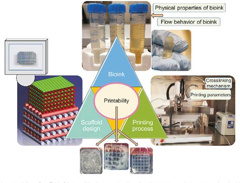 Figure 1 From Printabilitya Key Issue In Extrusion Based Bioprinting