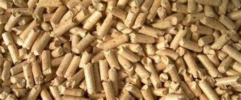 Fuel Pellets Forest Technology