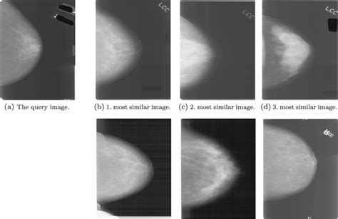 example of results using fmir where fuzzy distance is defined using
