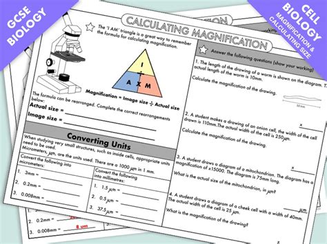 Gcse Biology Calculating Magnification And Size Of Specimens Teaching Resources
