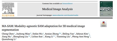 0 Ma Sam Modality Agnostic Sam Adaptation For 3d Medical Image Segmentation Blog