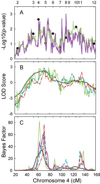 Linkage Analyses Of Ecb21 On Chromosome 4 Linkage Results For Three