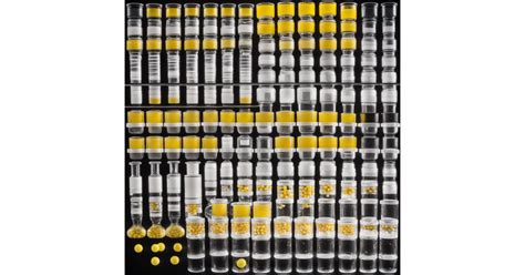 Human Npy Elisa Quantification Of Neuropeptide Y Npy Procurenet