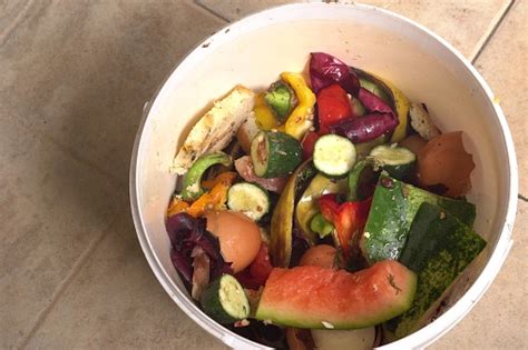 음식물 쓰레기 감소 부엌 음식 스크랩 컨테이너 홈 퇴비화 0에 대한 스톡 사진 및 기타 이미지 0 0명 가정 생활 Istock