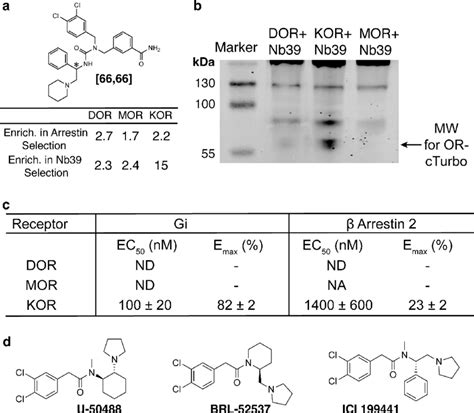 Off Dna Hit Validation Of An Nb39 Activating Compound For The Kor A Download Scientific