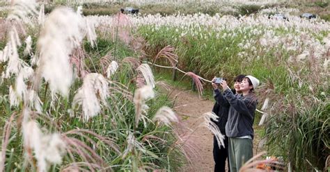 포토 성큼 다가온 가을