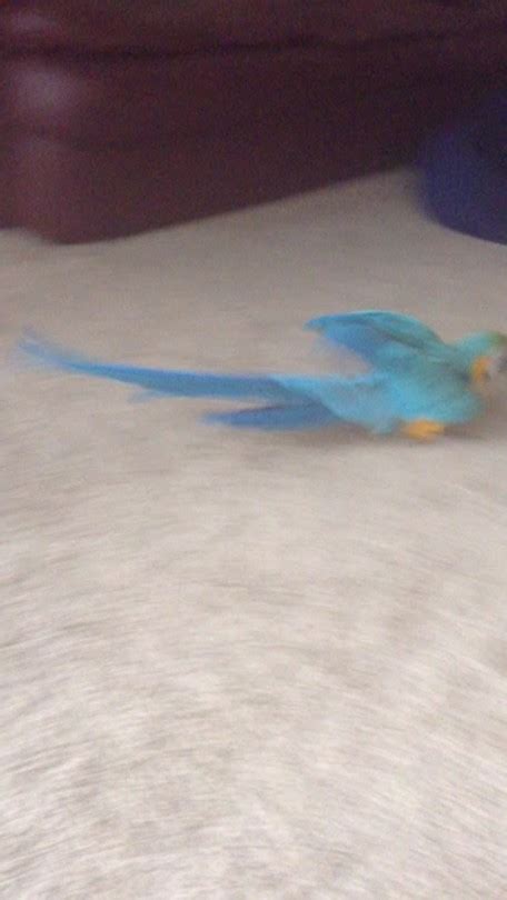 We Are Learning Fetch Tumbex