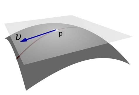 A Tangent Vector As An Arrow Download Scientific Diagram