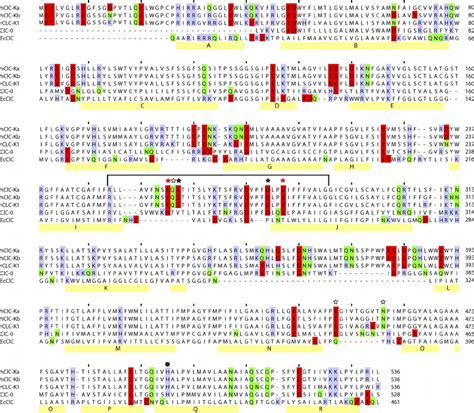 Sequence Alignment Of Clc Ka Clc Kb Rclc K1 Clc 0 And Ecclc