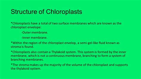 Thylakoid Structure And Function
