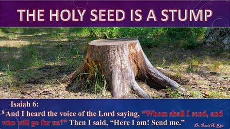 The Holy Seed Is A Stump End Time Thinker