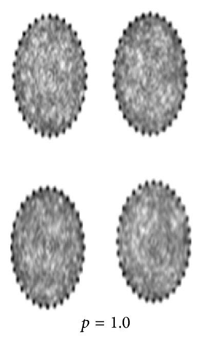 Random Graphs With Different P Download Scientific Diagram