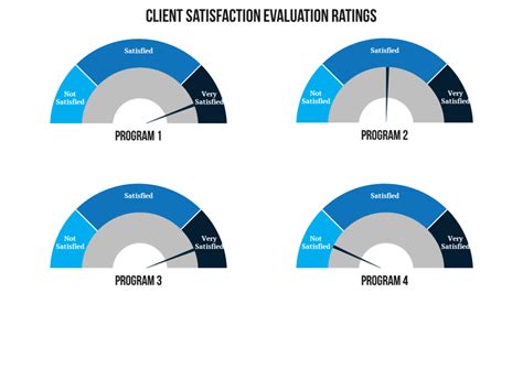 Qualitative Data Visualization The Gauge Diagram