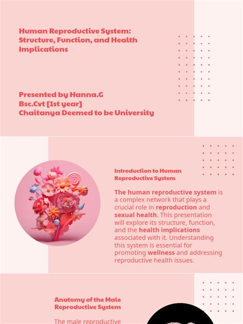 Slidesgo An In Depth Exploration Of The Human Reproductive System