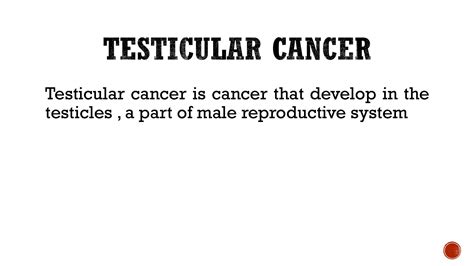 Testicular Self Examination And Testicular Cancerpdf