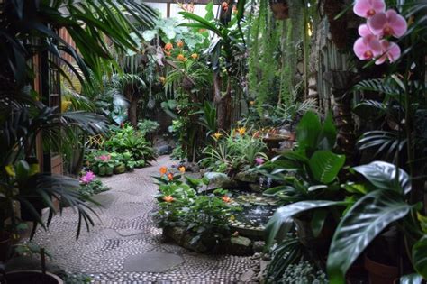 A Garden Filled With Lots Of Different Types Of Plants Premium Ai Generated Image