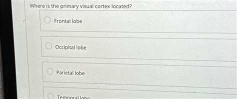 Solved Where Is The Primary Visual Cortex Located Frontal Chegg Com