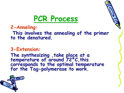 PPT PCR PowerPoint Presentation Free Download ID