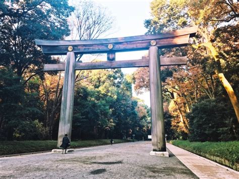 Always Seeking New Coordinates On Tumblr