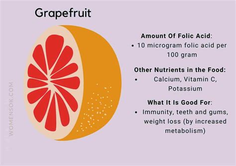 Folic Acid Rich Foods Vegetables And Fruits That Are High In