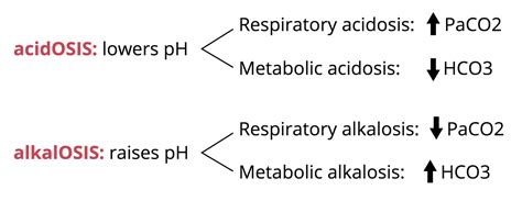 Vbg A Brief Guide Sinai Em