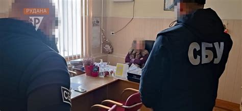 У керівниці Миколаївської обласної МСЕК виявили понад пів мільйона доларів та інвалідність РУДАНА