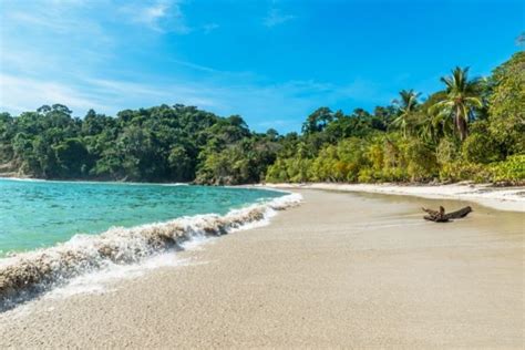 Parc Manuel Antonio Au Costa Rica Le Guide Complet