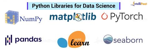 Data Science Prerequisites For 2025 Skills And Eligibility