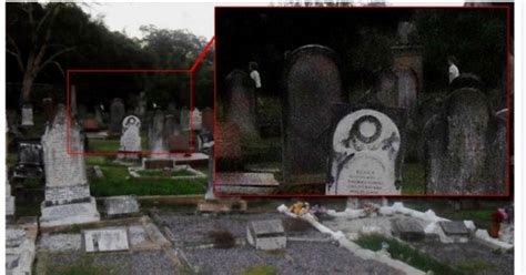 호주 묘지에 어린이 유령출몰 보도 논란