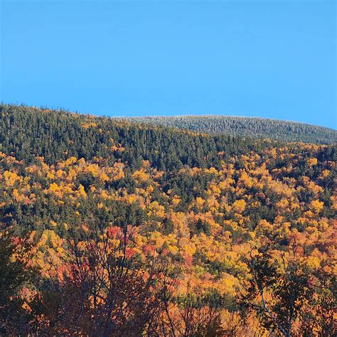 Dolly Copp Campground Randolph New Hampshire