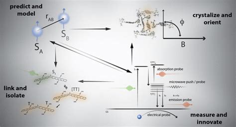 Molecular Control Of Triplet Pair Spin Polarization And Its Optoelectronic Magnetic Resonance