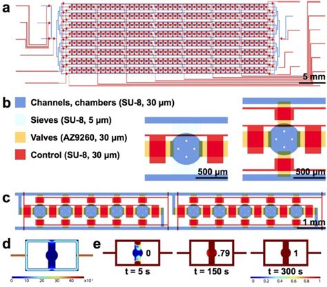 A High Throughput Microfluidic Platform For Mammalian Cell Transfection And Culturing