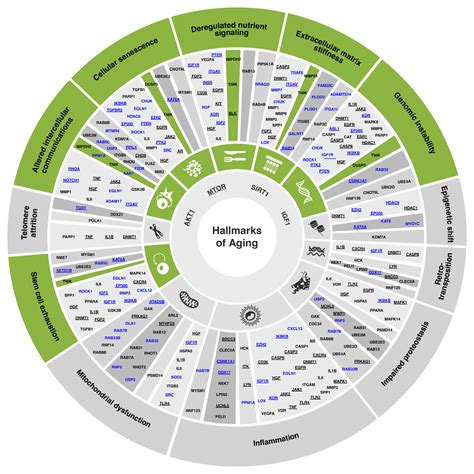Data Repository For Tnik Insilico Medicine