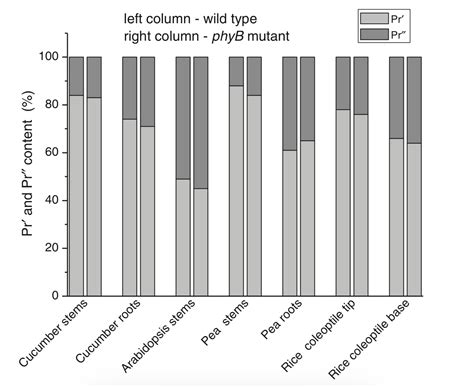 Two Phytochrome A Types In Plants Encyclopedia Mdpi