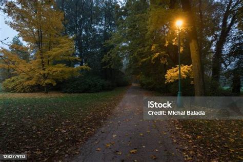 야경 안개낀 밤에 가로등이있는 골목길의 풍경 가로등으로 조명된 어두운 거리 가을에 황혼 동안 낭만적 이거나 극적인 분위기 아름다운 배경 개념 0명에 대한 스톡 사진 및 기타