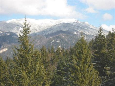 Complex Panoramic Holiday Predeal Reviews And Photos