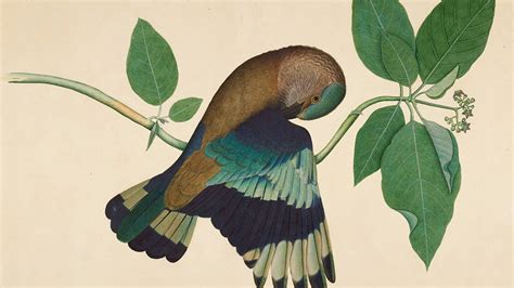 India Wallaces Instagram Twitter And Facebook On Idcrawl