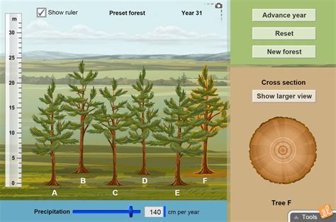 Measuring Trees Simulation ExploreLearning Gizmos