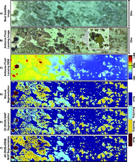 Automated Coral Reef Morphology Classification A Highestresolution Download Scientific