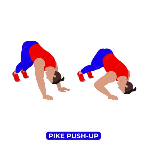 Premium Vector Vector Man Doing Pike Push Up Bodyweight Fitness Arms